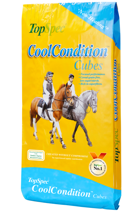 TopSpec CoolCondition Cubes
